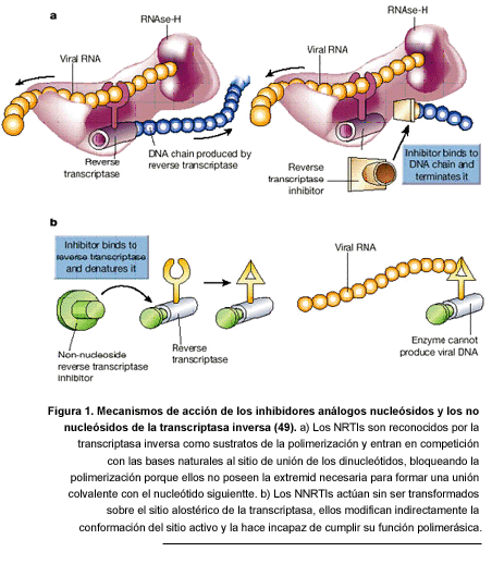 VITAE19-Inmunología