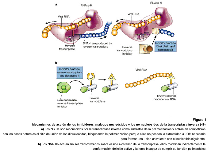 ++VITAE Academia Biómedica Digital