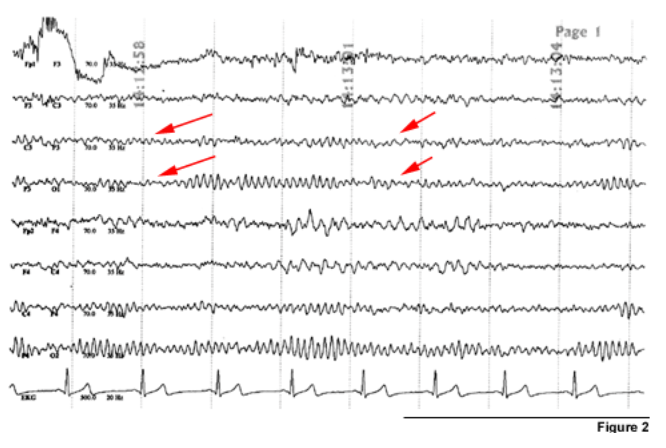 ++VITAE Academia Biómedica Digital